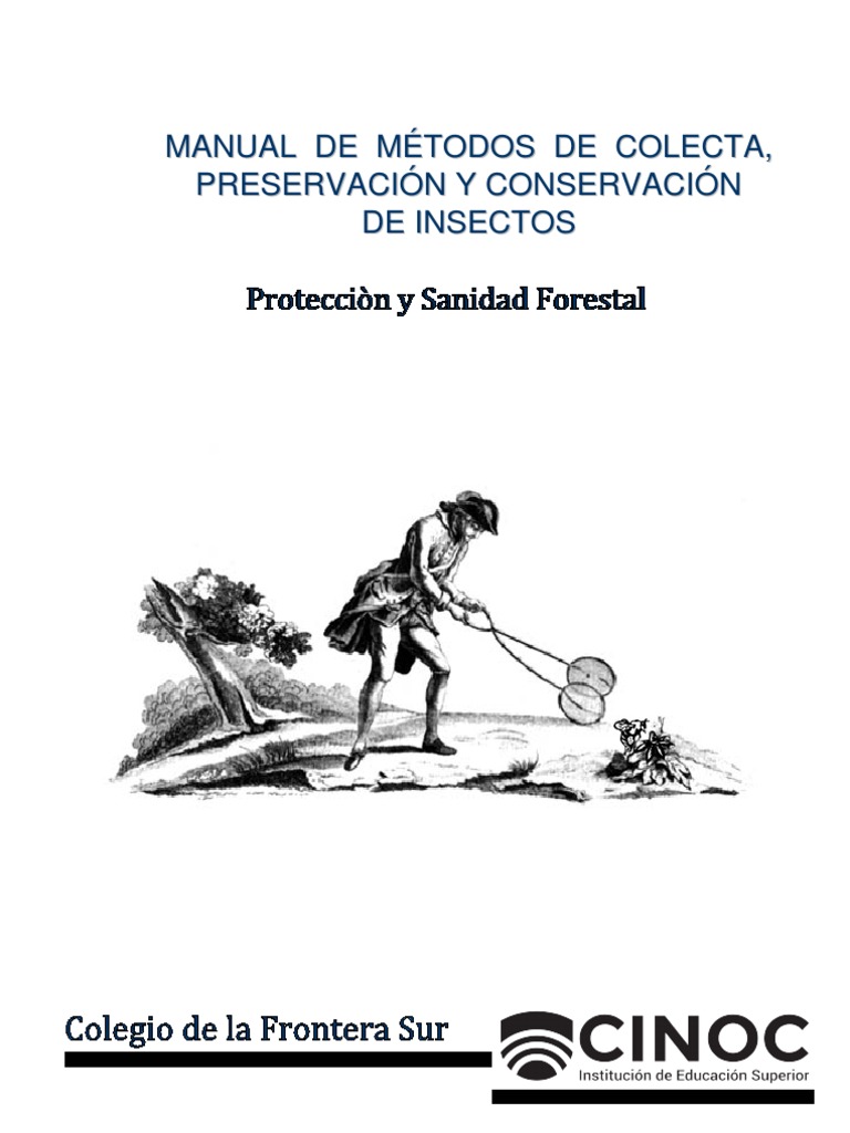 Manual de Colecta de Insectos | PDF | Insectos | Etanol