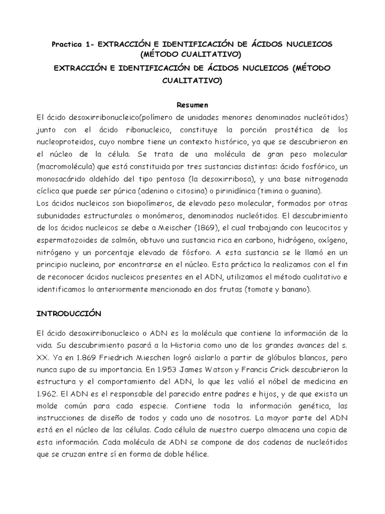Extraccion de ADN de Tomate y Banano | PDF | Ácidos nucleicos | Adn