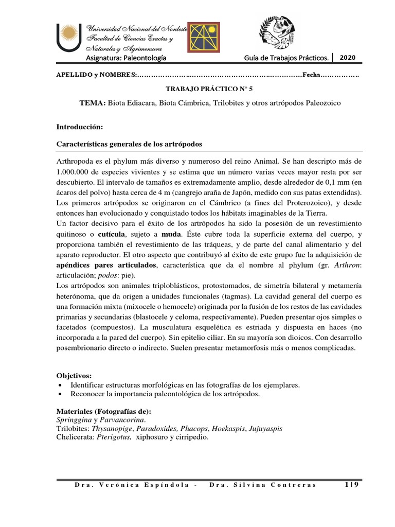 TP N°5 PALEONTOLOGÍA Paleoinvertebrados | PDF | Protostomas | Artrópodos