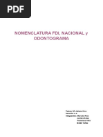 Nomenclatura Fdi | PDF | Odontología | Diente humano