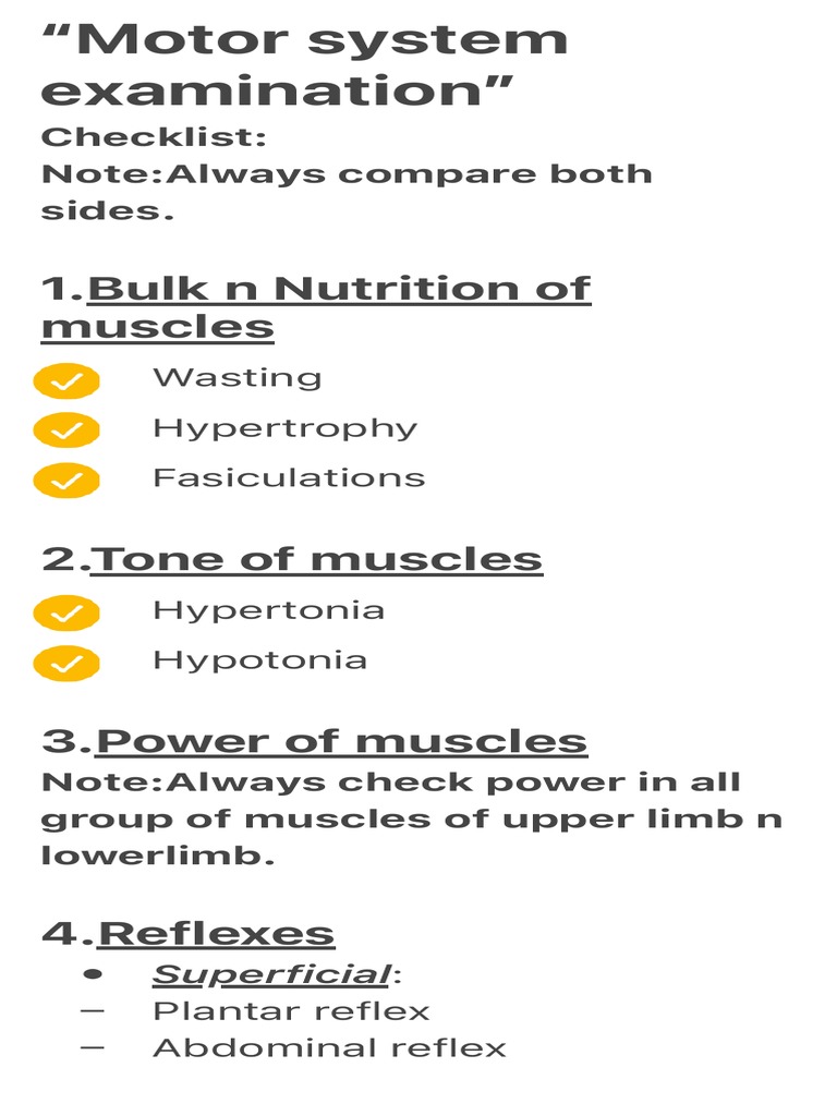 A Comprehensive Checklist for Performing a Thorough Motor System ...