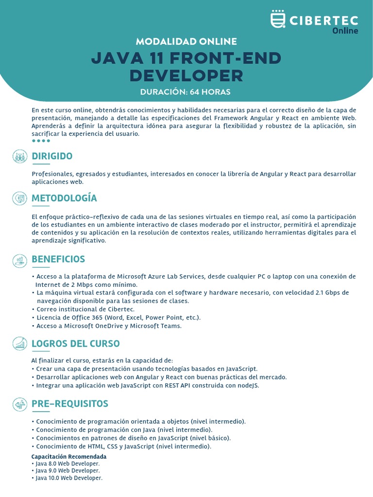 Java 11 Front End Developer | PDF | Script Java | Aplicación web