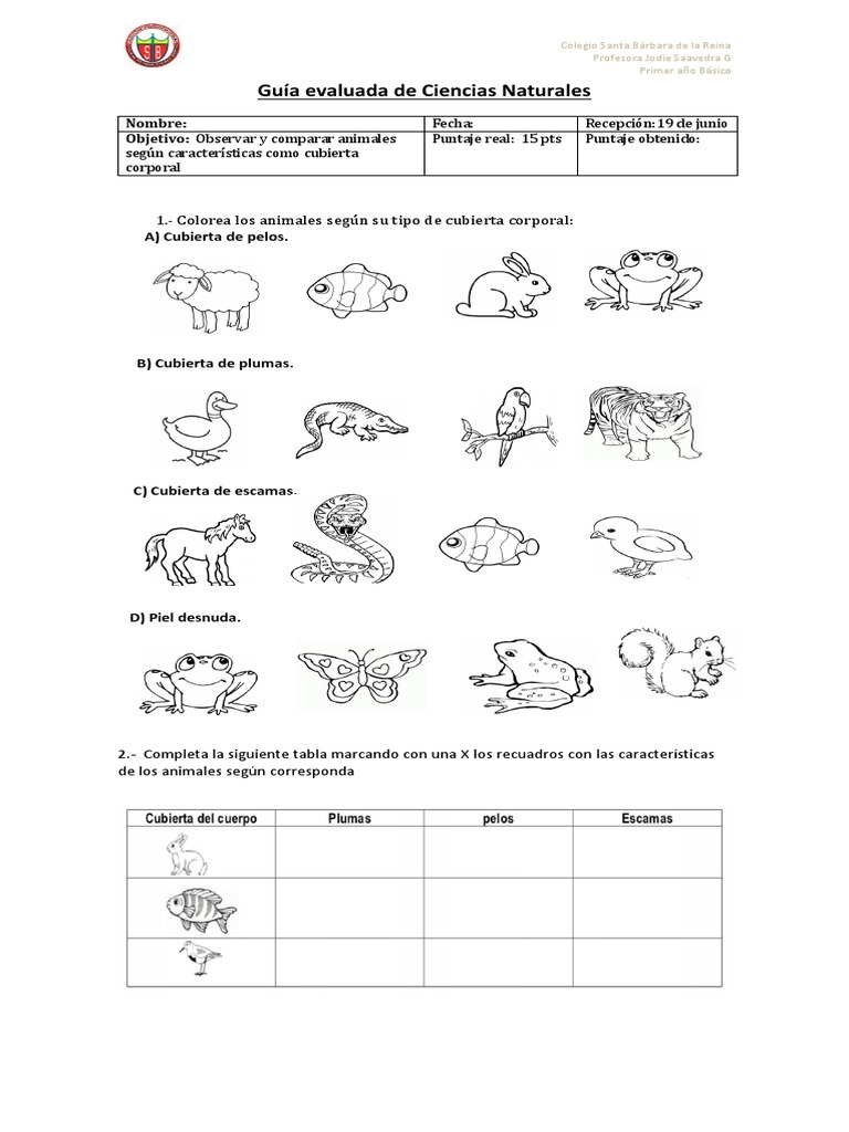 Guía Cubierta Corporal 1° Basico | PDF