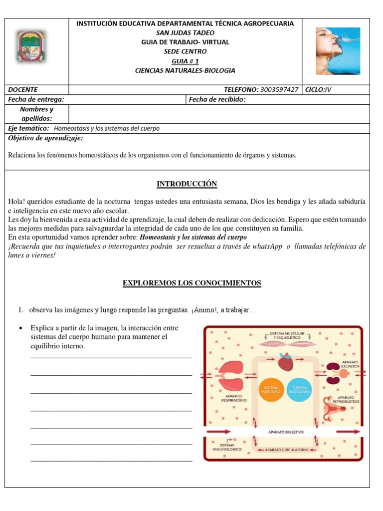Taller Sobre Homeostasis | PDF | Homeostasis | Realimentación