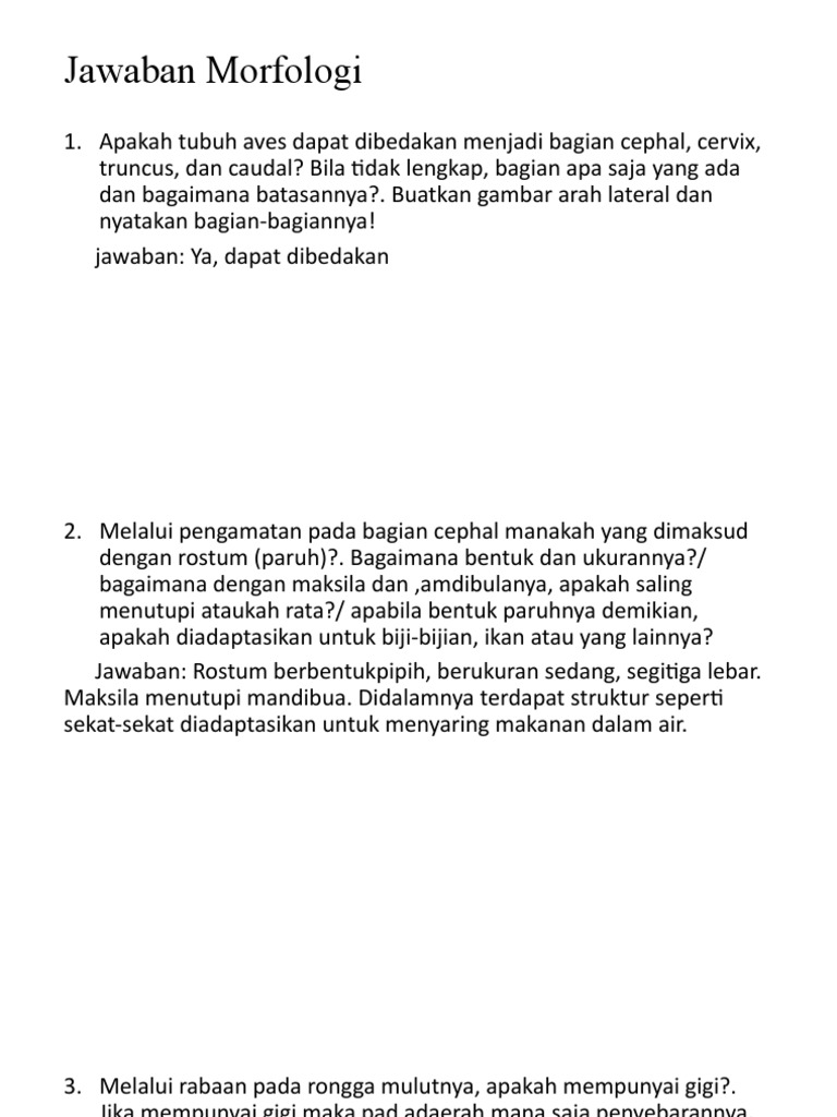 Jawaban Morfologi Bebek | PDF