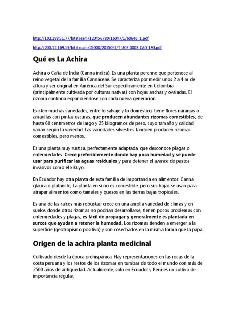 Achira | PDF | Comida y bebida | Alimentos