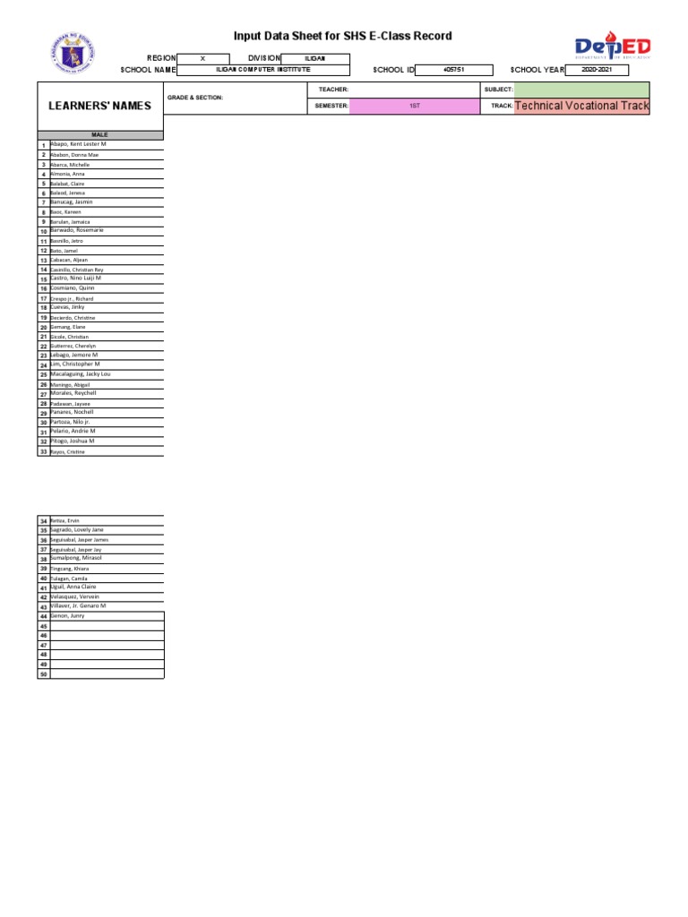 Input Data Sheet For SHS E-Class Record: Learners' Names | PDF