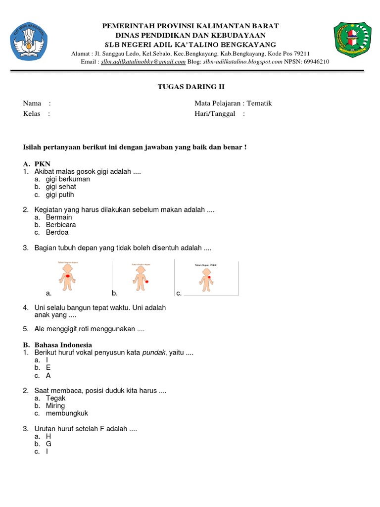 Tugas 2 Tematik Kelas 2 SDLB Semester 2 | PDF