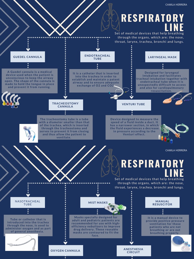 Respiratory Line | PDF | Breathing | Respiratory System