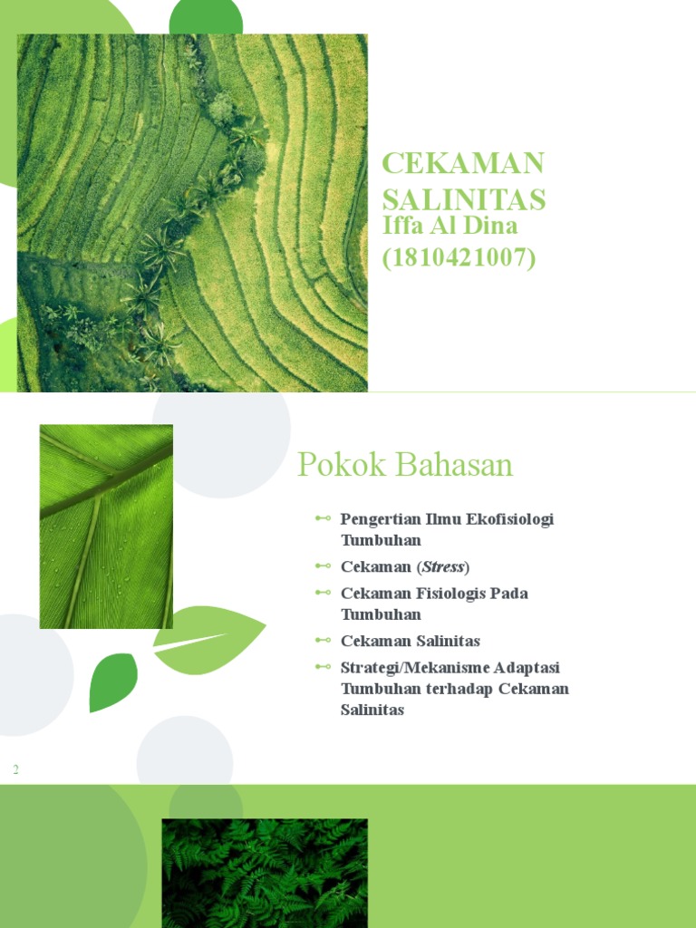 Cekaman Salinitas | PDF