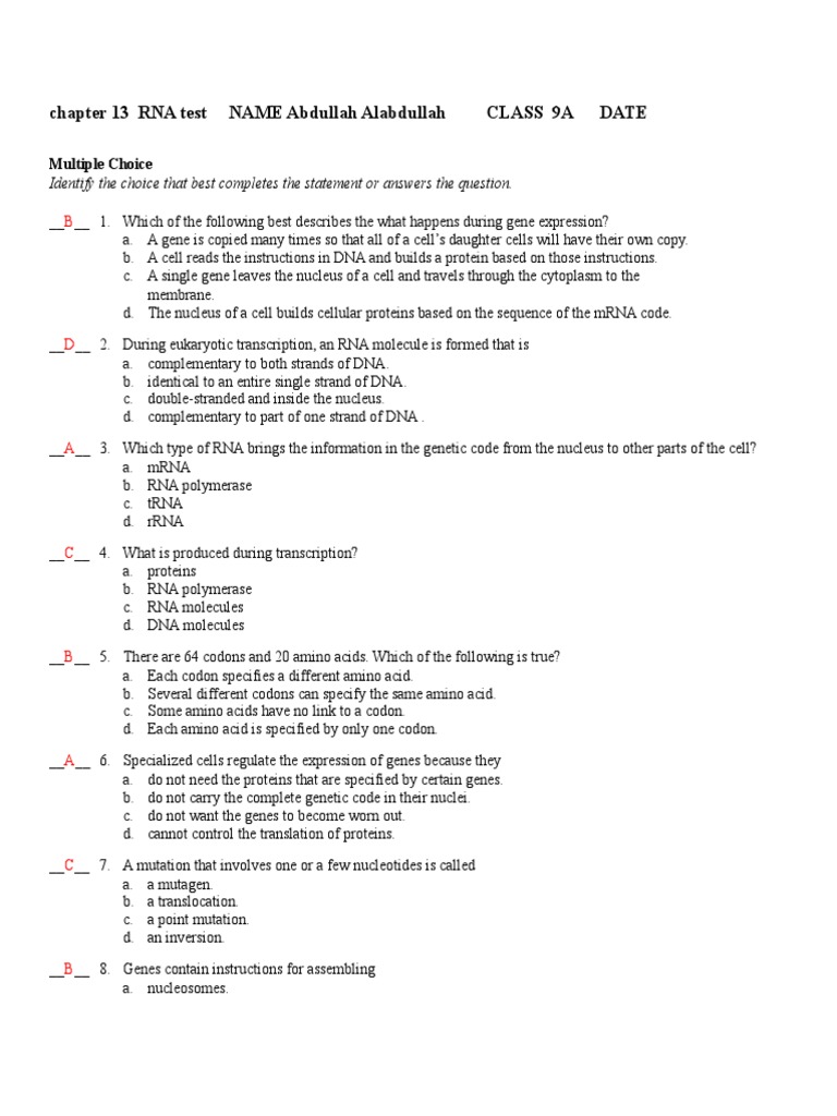 Chapter 13 RNA Test NAME Abdullah Alabdullah CLASS 9A DATE | PDF | Gene ...
