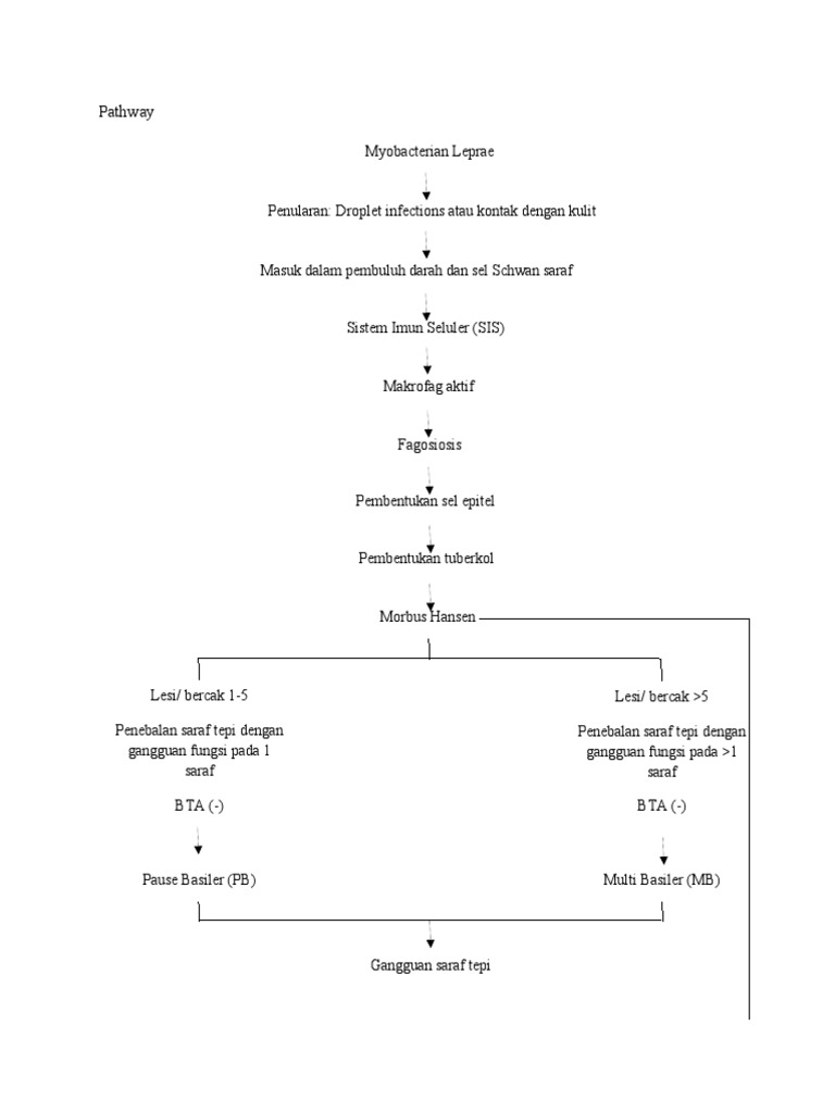 Pathway Kusta 1 | PDF