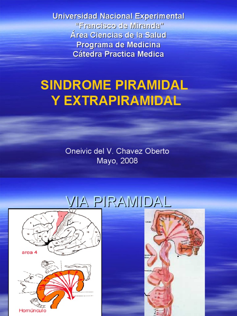 Sindrome Piramidal y Extrapiramidal-151008025553-Lva1-App6891 | PDF ...
