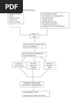 Pathophysiology of Normal Vaginal Delivery | PDF | Sexual Reproduction ...