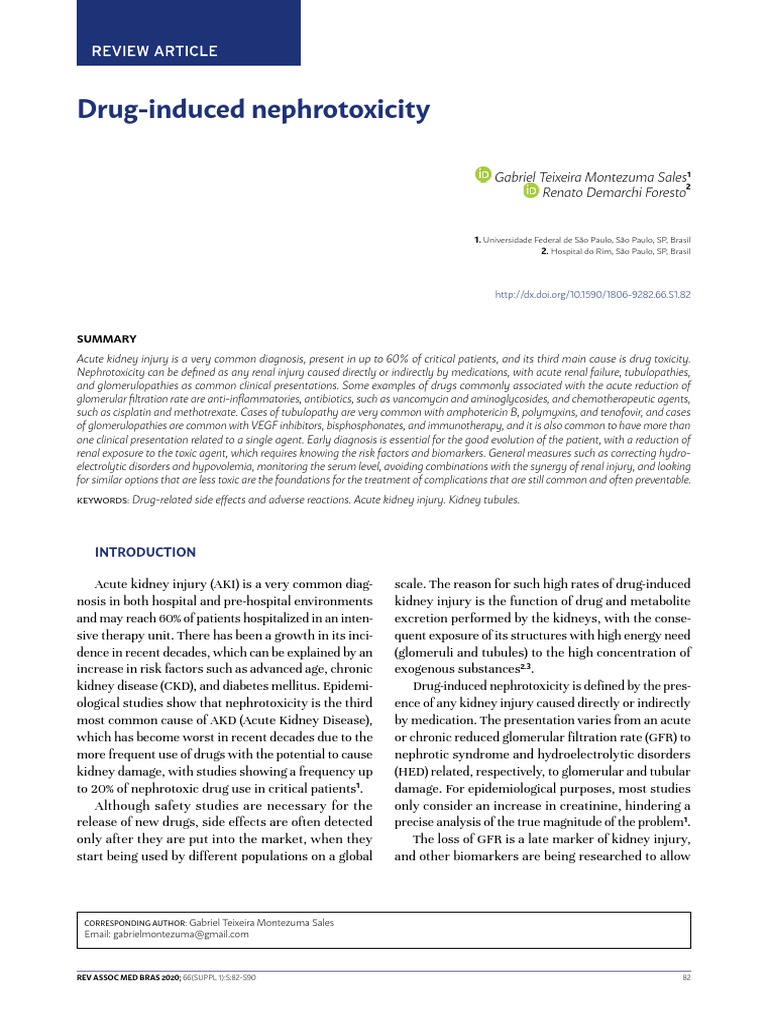 Drug-Induced Nephrotoxicity Overview | PDF | Creatinine | Chronic ...