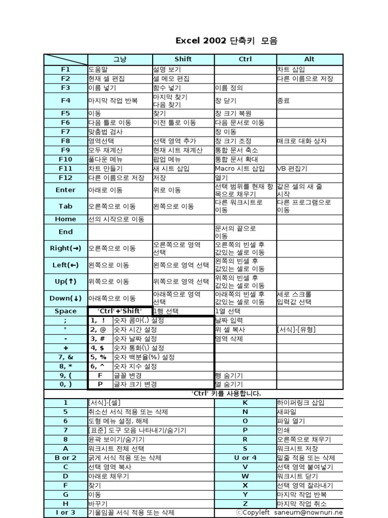 엑셀단축키 | PDF