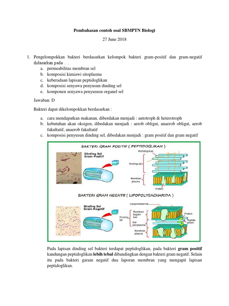 Pembahasan Contoh Soal SBMPTN Biologi | PDF