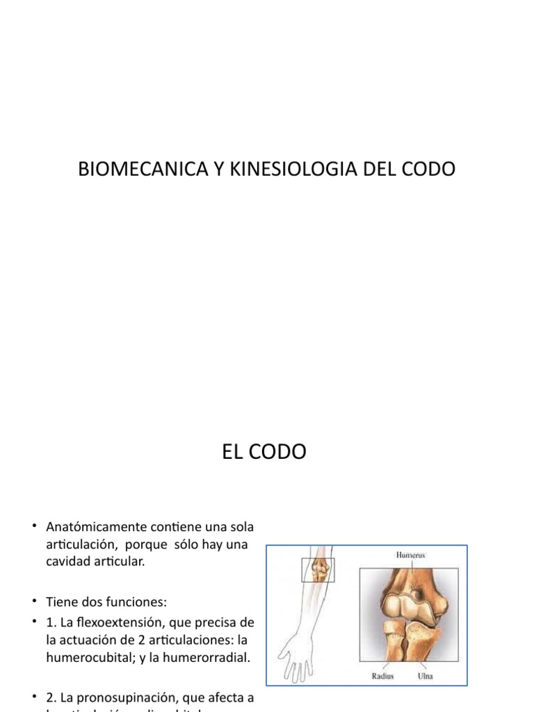 Biomecanica y Kinesiologia Del Codo | PDF | Codo | Mano
