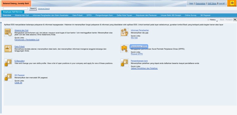 Overview - SAP NetWeaver Portal | PDF