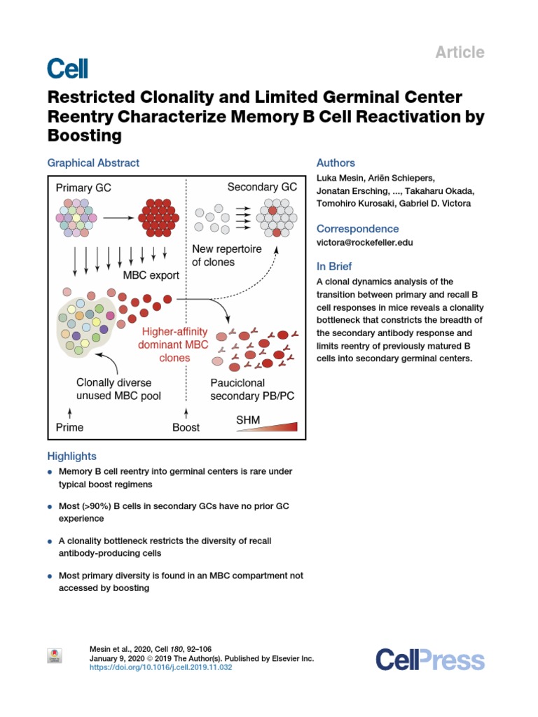Restricted Clonality and Limited Germinal Center Reentry Characterize ...