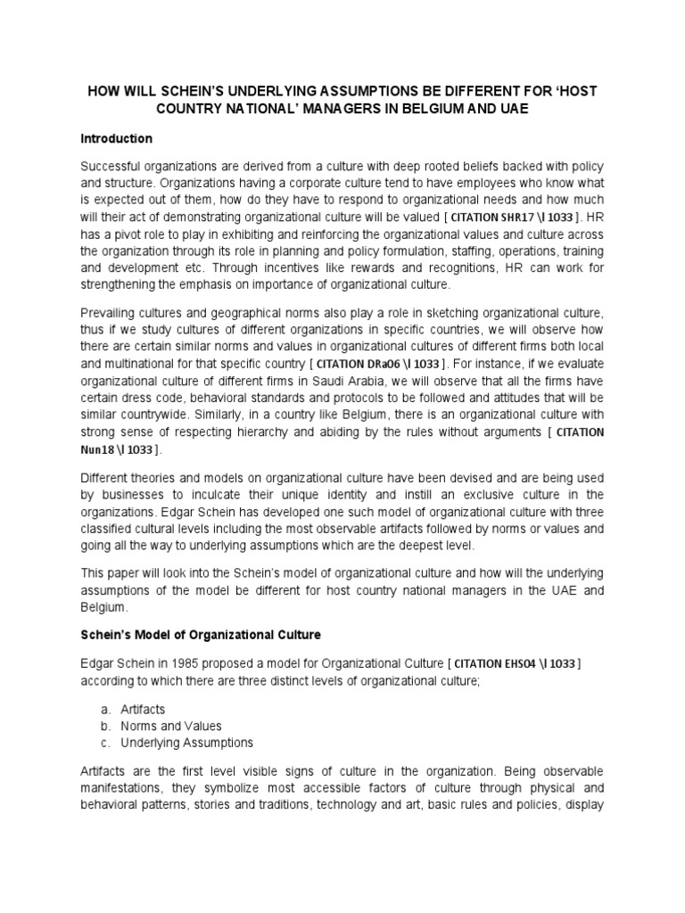 Shein's Model | PDF | Organizational Culture | Psychology