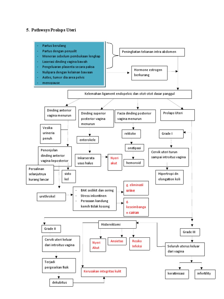 Pathways Prolaps Uteri | PDF