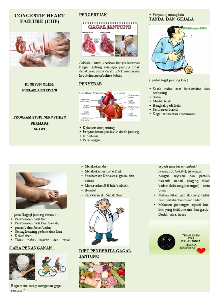 Leaflet CHF | PDF