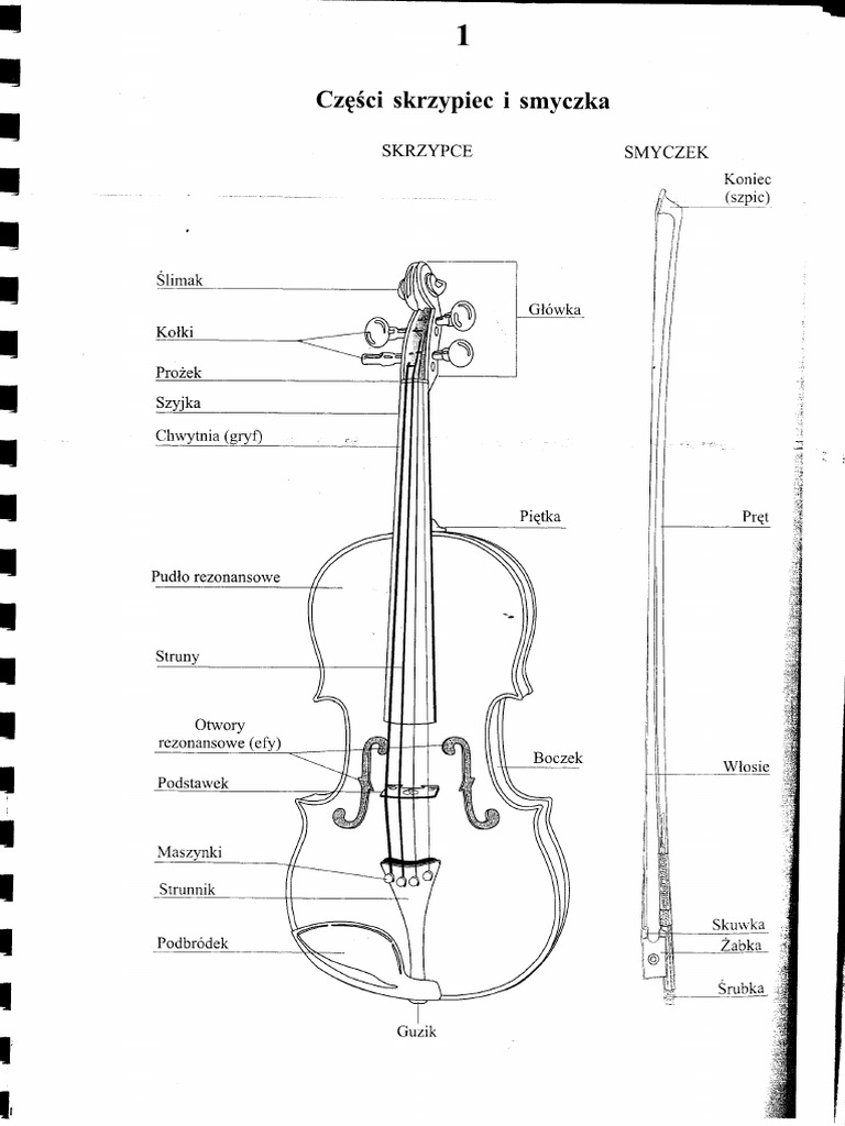 Budowa Skrzypiec Pdf