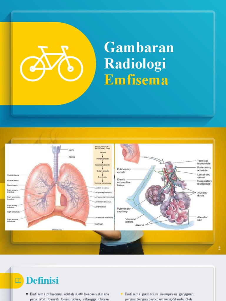 Gambaran Radiologi Emfisema | PDF