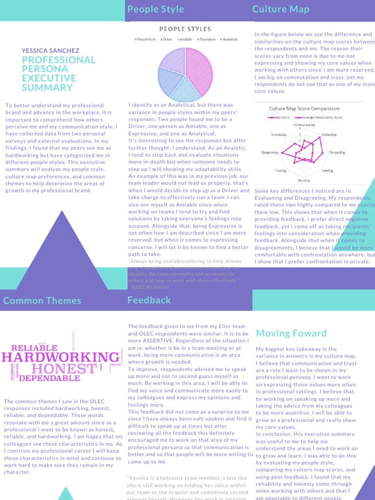 Professional Persona Executive Summary SanchezYessica BCOM 314 | PDF ...