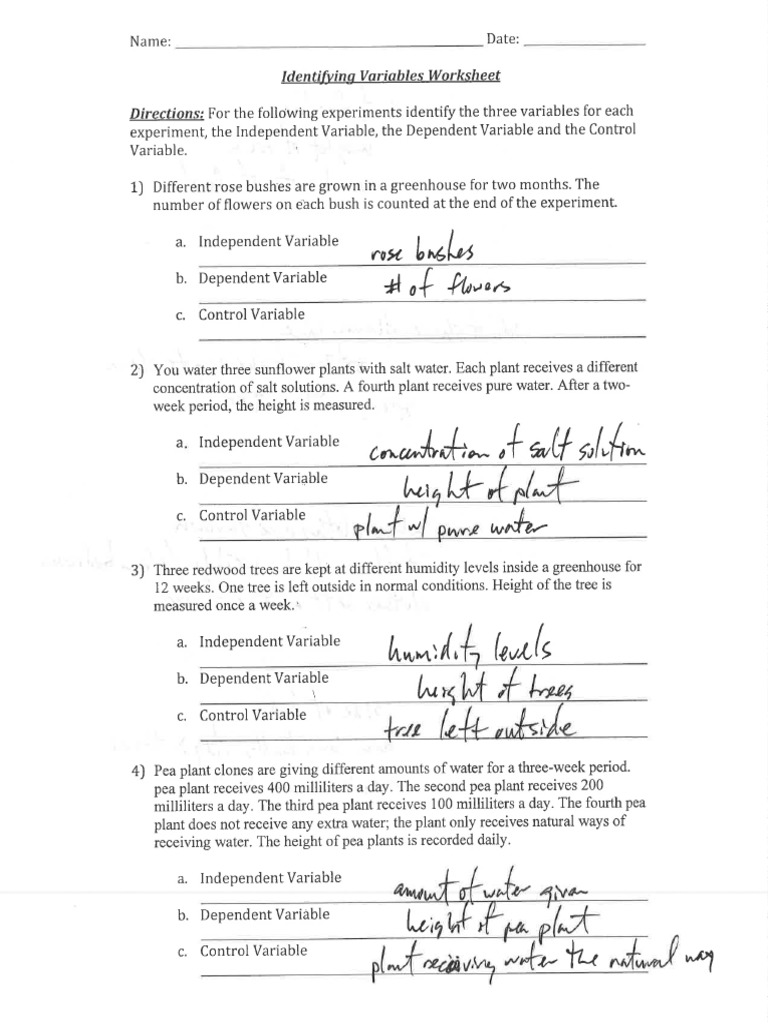 Identifying Variables Practice Key | PDF