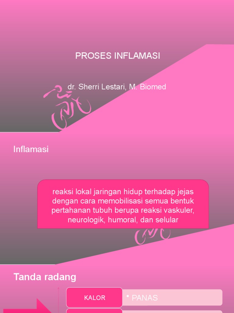 Proses dan Mekanisme Inflamasi | PDF