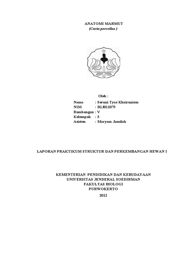 Morfologi dan Anatomi Marmut | PDF | Kesehatan Holistik