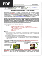 20 Ejemplos de Indigenismos en Español | PDF | Chocolate | Alimentos