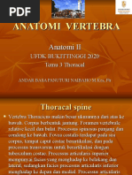 ANATOMI Thorax | PDF