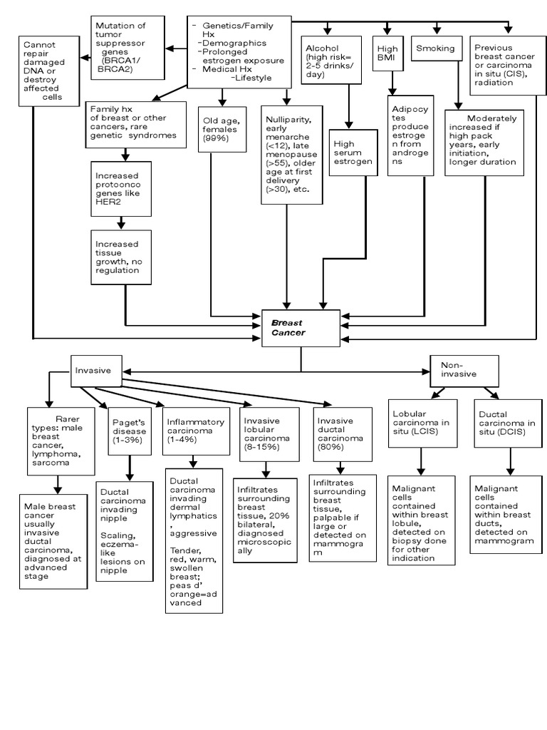 BreastCancer Pathophysiology | PDF | Breast Cancer | Carcinoma