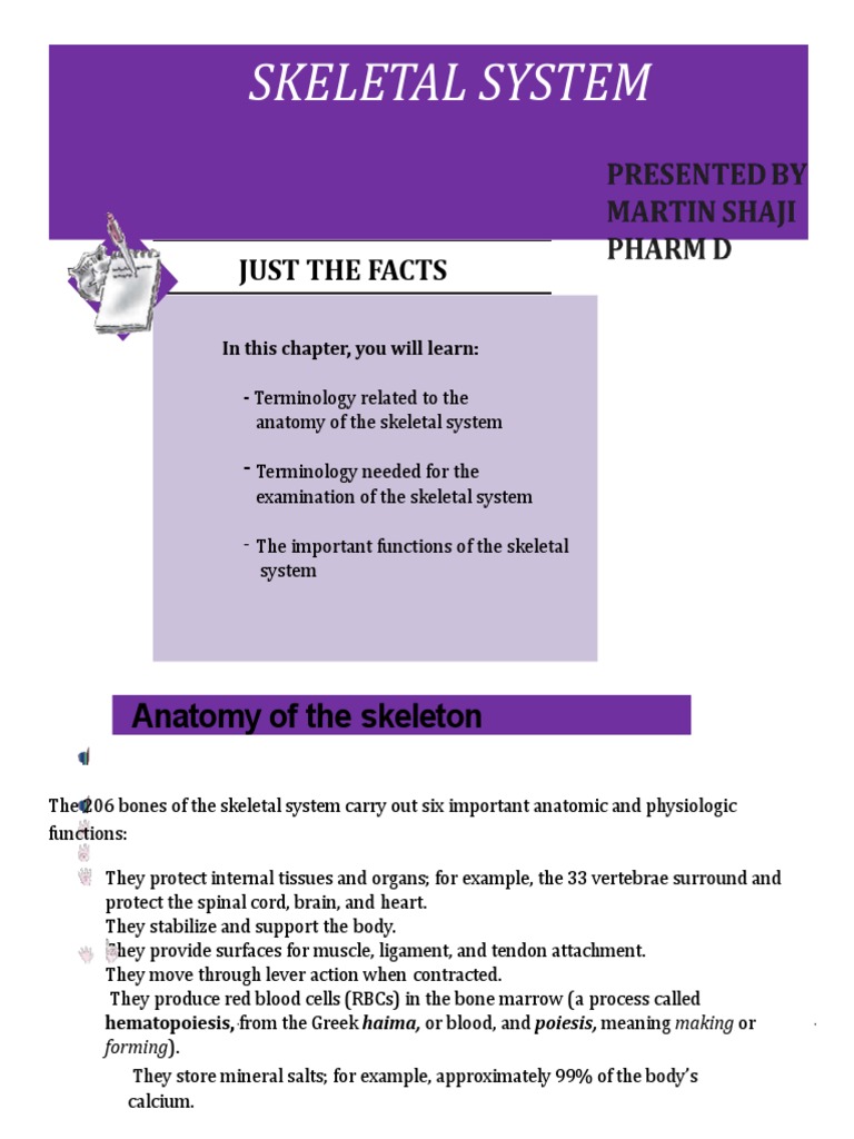 Skeletal System Information Book | PDF | Skull | Vertebral Column