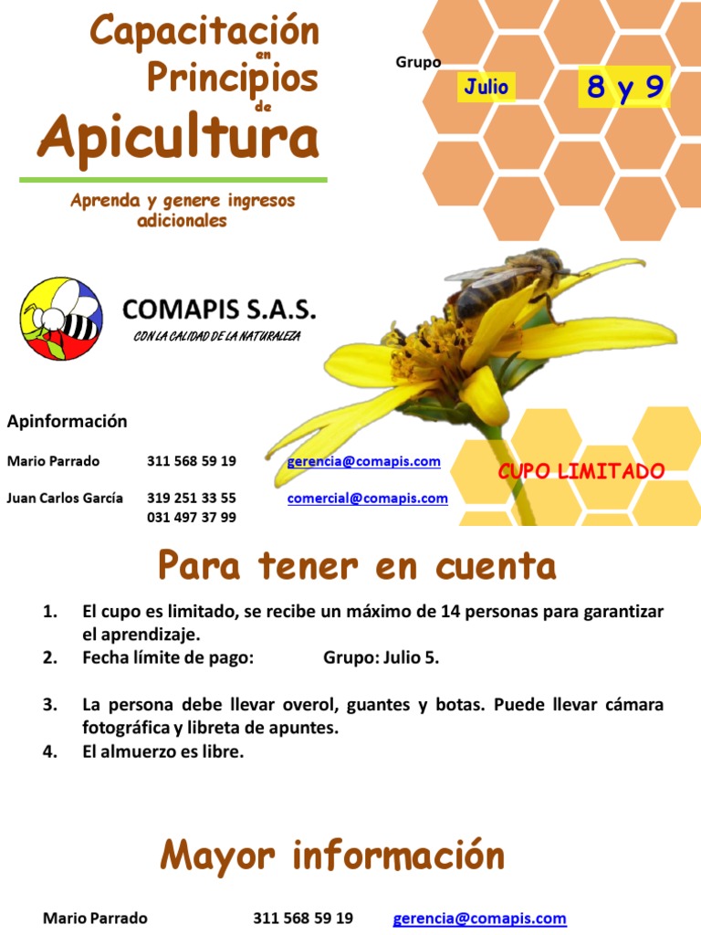 APICULTURA | PDF | Apicultura | Colmena APICULTURA | PDF | Apicultura | Colmena