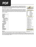 Fish Names in Marathi | PDF | Fishing Industry | Aquatic Animals