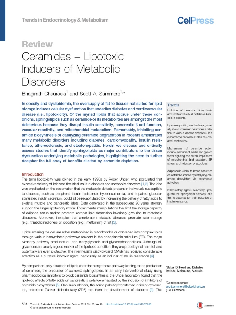 Lipotoxicidad Por Ceramidas Cayetano | PDF | Insulin Resistance | Insulin