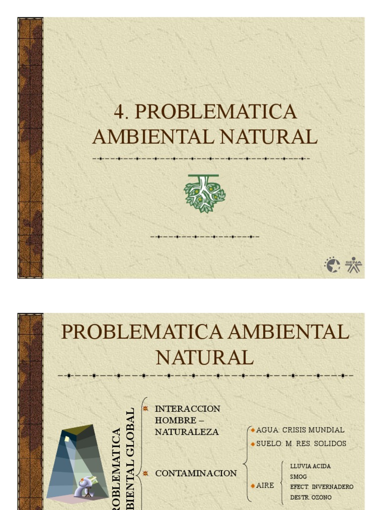 Problematica Ambiental Presentacion | PDF | La contaminación del aire | Entorno natural