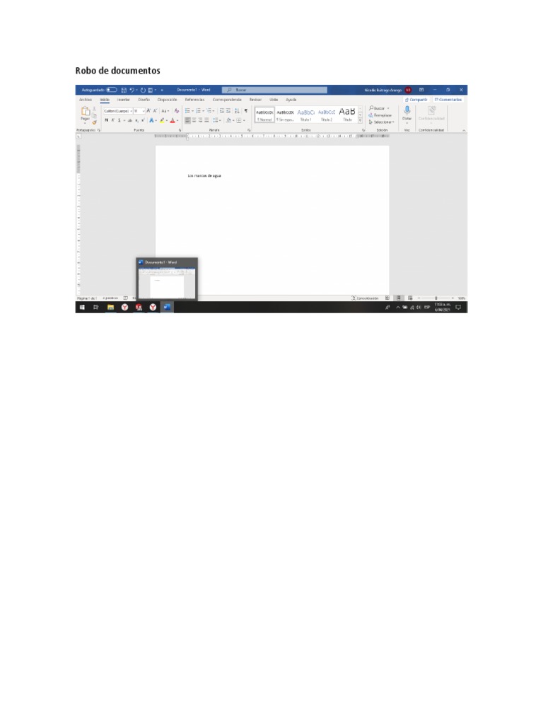 Robo de Documentos | PDF