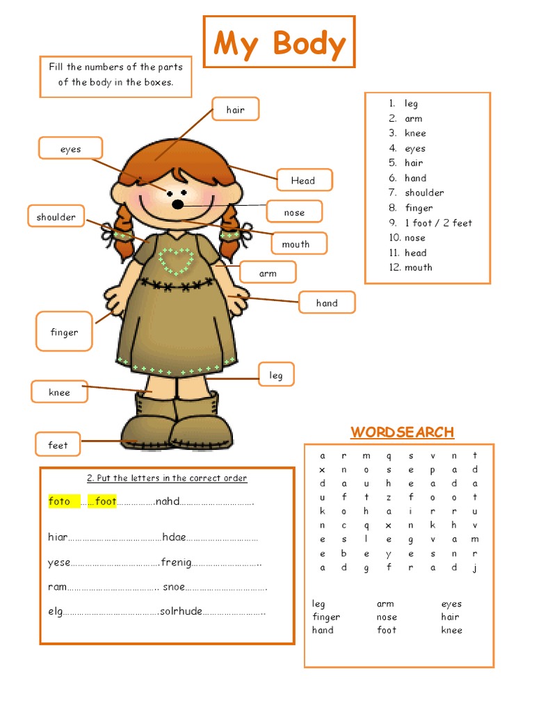 Match Body Parts Worksheet | PDF