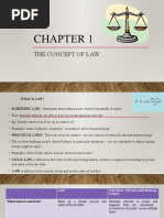 Law of Persons Chapter 1 Notes | PDF | Precedent | Common Law