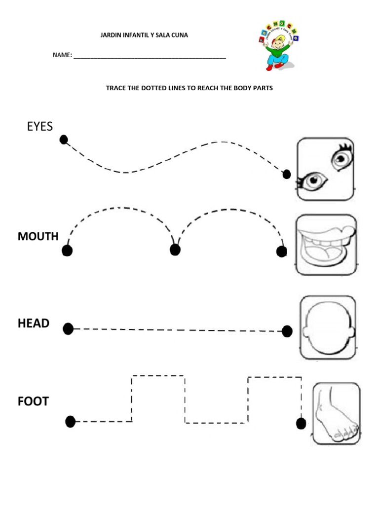 Mouth: Trace The Dotted Lines To Reach The Body Parts | PDF