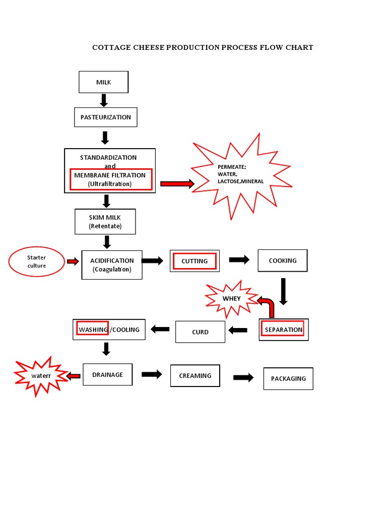 Cottage Cheese Production Process Flow Chart: Starter Culture | PDF