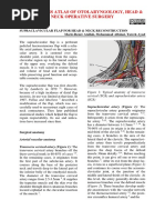 External Vs Internal Jugular Vein | PDF | Vein | Human Anatomy