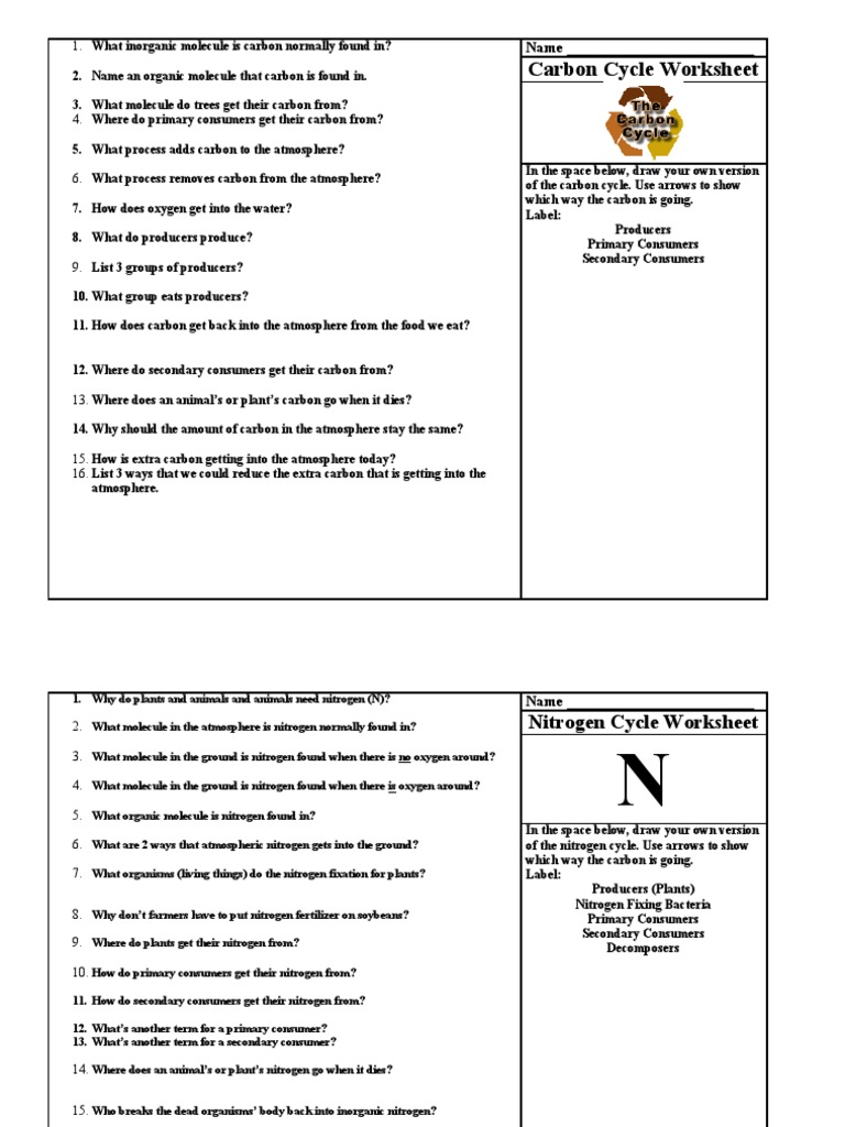 Carbon Cycle Worksheet: Name | PDF | Nitrogen | Carbon