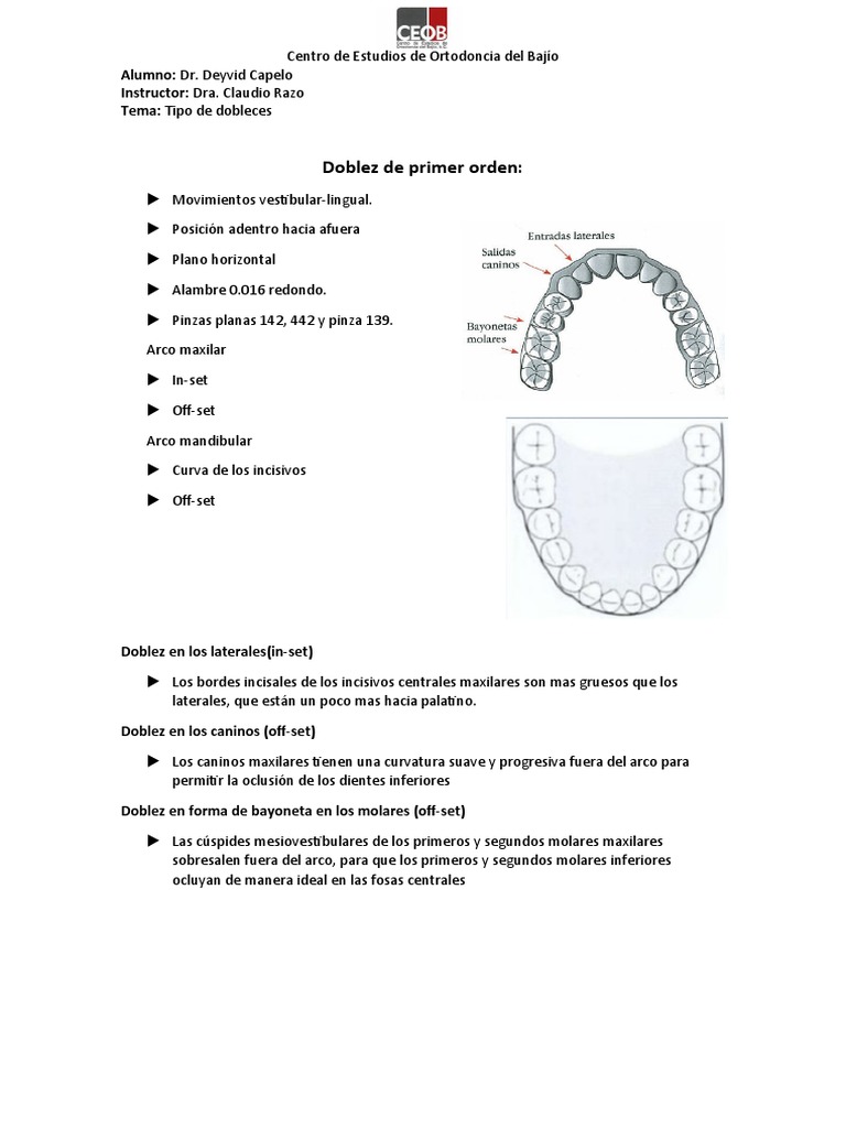 Dobleces | PDF | Ortodoncia | Odontología
