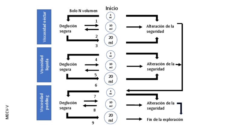 Mecv V | PDF